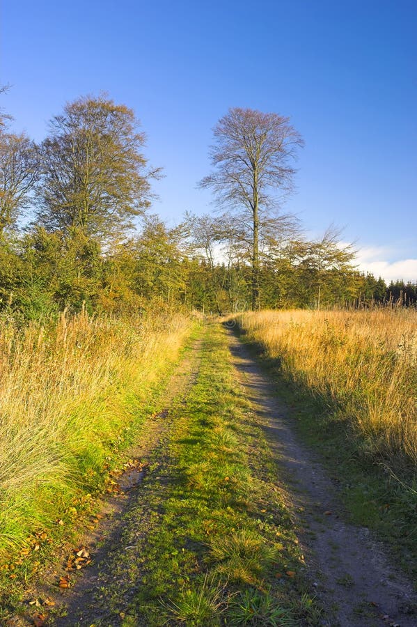 Sunshine Free Stock Photos & Pictures, Sunshine Royalty-Free and Public ...