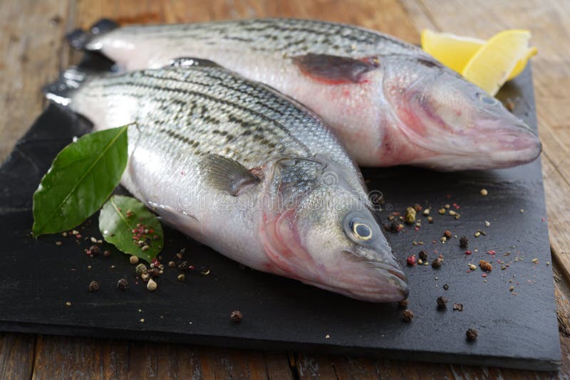 Sunshine bass on a table stock image. Image of organic - 36691811