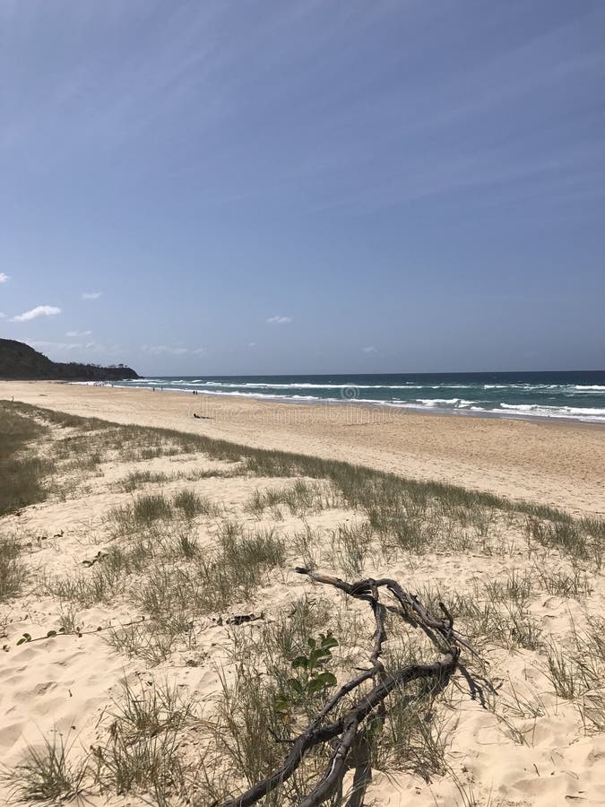 Sunshine Beach stock image. Image of beach, midday, sunshine - 105384087