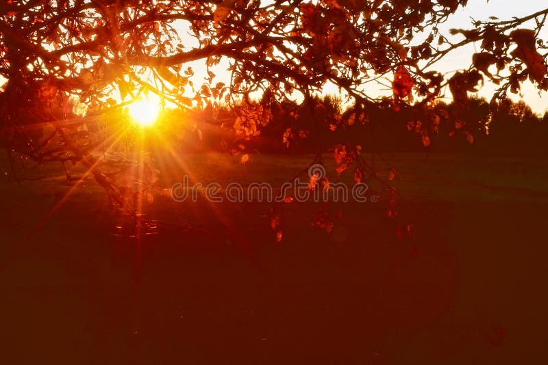 Sunshine Beautiful Autumn Landscape. Stock Image - Image of landscape ...
