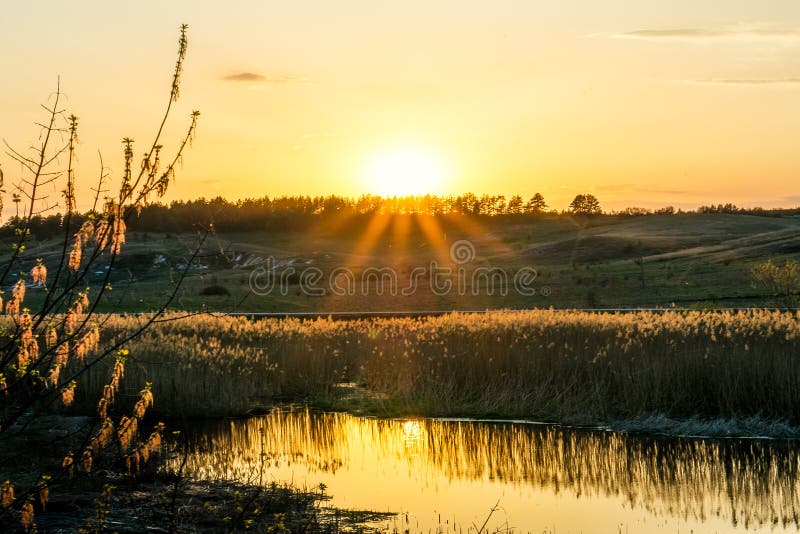 Sunshine stock image. Image of rays, sunset, sunrise - 55073291