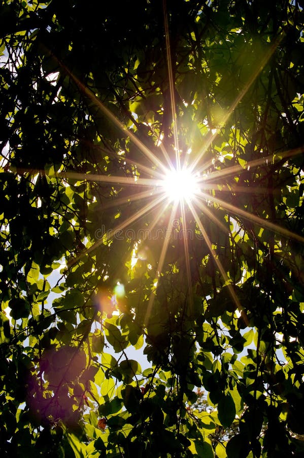 Sunshine stock photo. Image of beam, color, warm, sunlight - 40162628