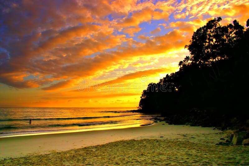 Sunshine Coast, Australia stock photo. Image of gold, beach - 3831908