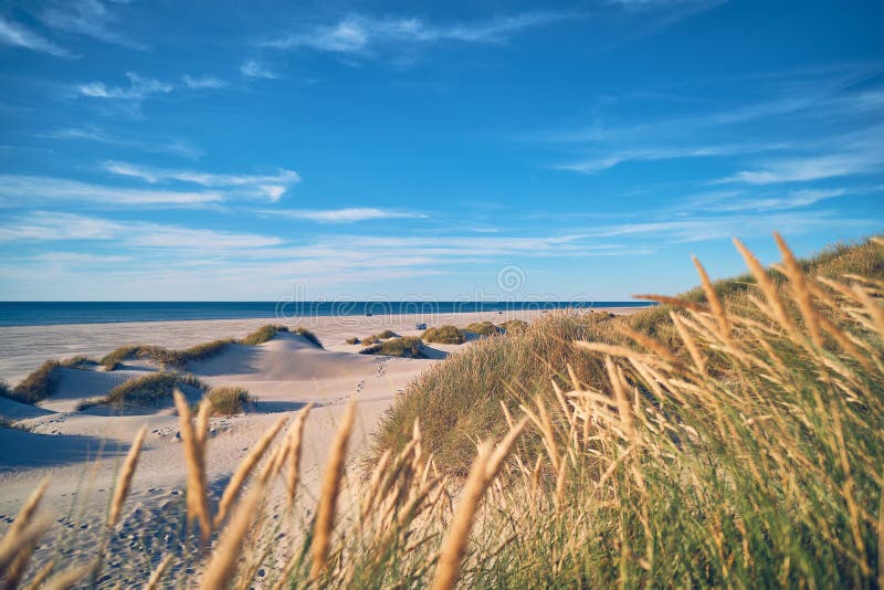 Sunshine at danish beach stock photo. Image of outdoor - 255389666