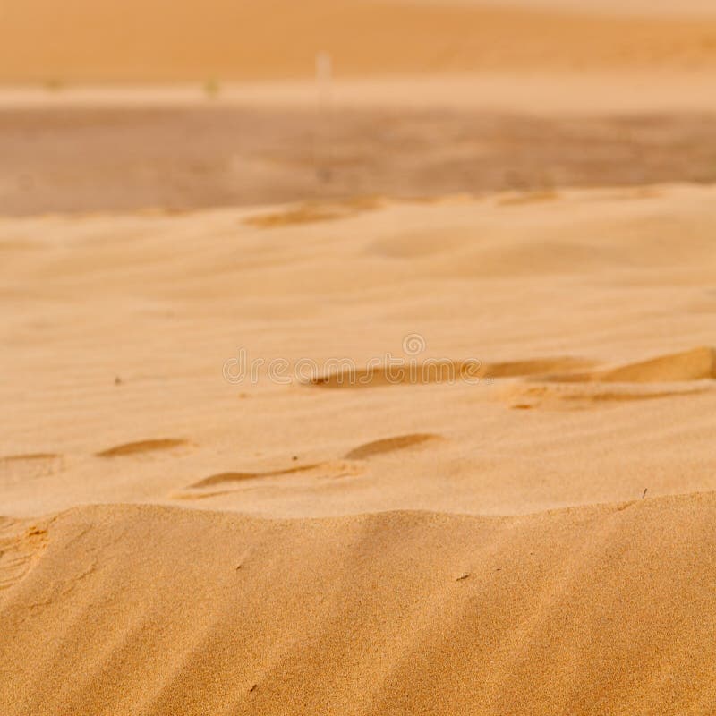 Morocco. Sand Dunes of Sahara Desert Stock Image - Image of color ...