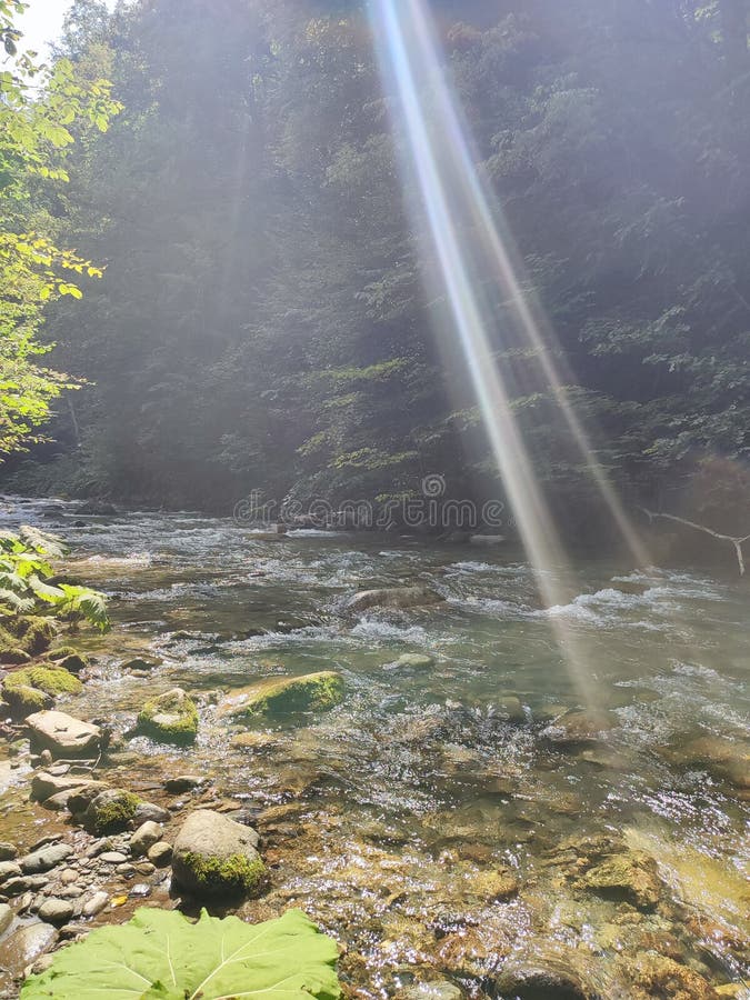 Sunshine down the stream stock image. Image of stream - 254831643