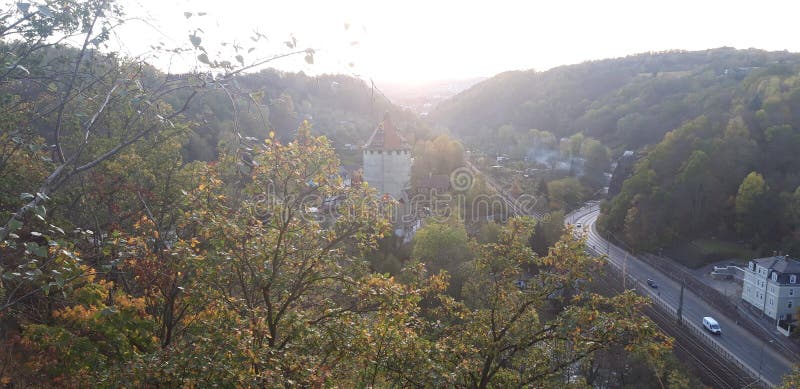Sunshine Dresden Forest Tree Stock Photo - Image of sunlight, nature ...