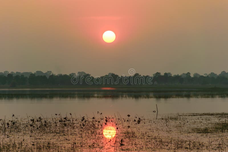 Sunshine in the evening stock image. Image of pursuit - 88280923