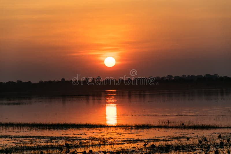 Sunshine in the evening stock image. Image of business - 87734429