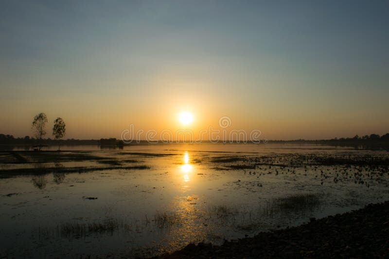 Sunshine in the evening stock image. Image of holiday - 87734495