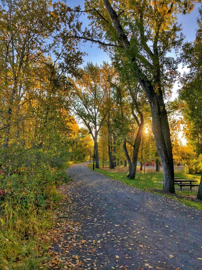 Sunshine through a Fall Pathway Stock Image - Image of calgary ...