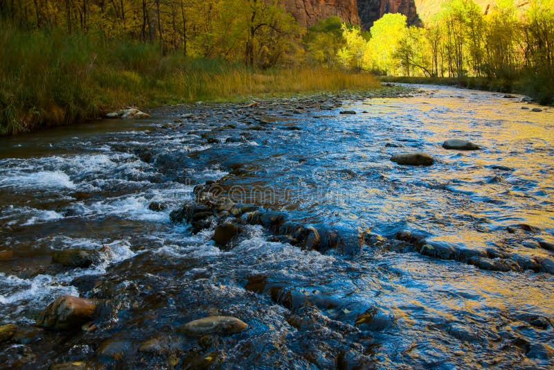 Sunshine Falling on the Virgin River Stock Image - Image of area ...