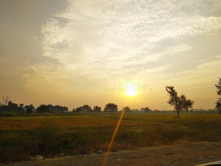 Sunshine on the field stock image. Image of light, shing - 148304617