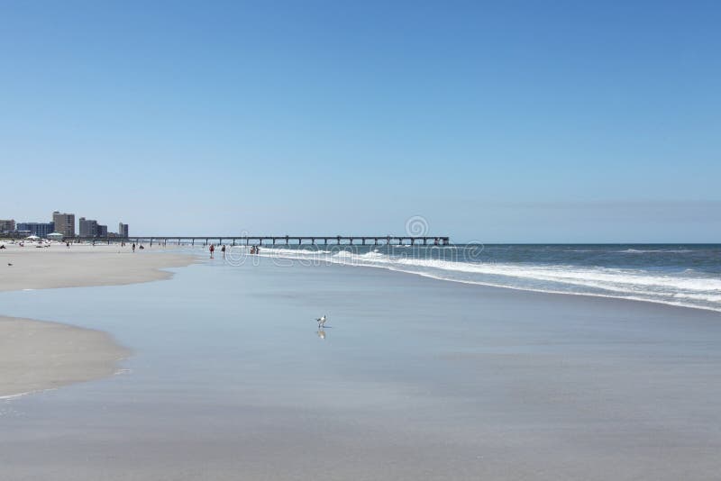 Sunshine Florida beach stock image. Image of sand, coast - 111641187