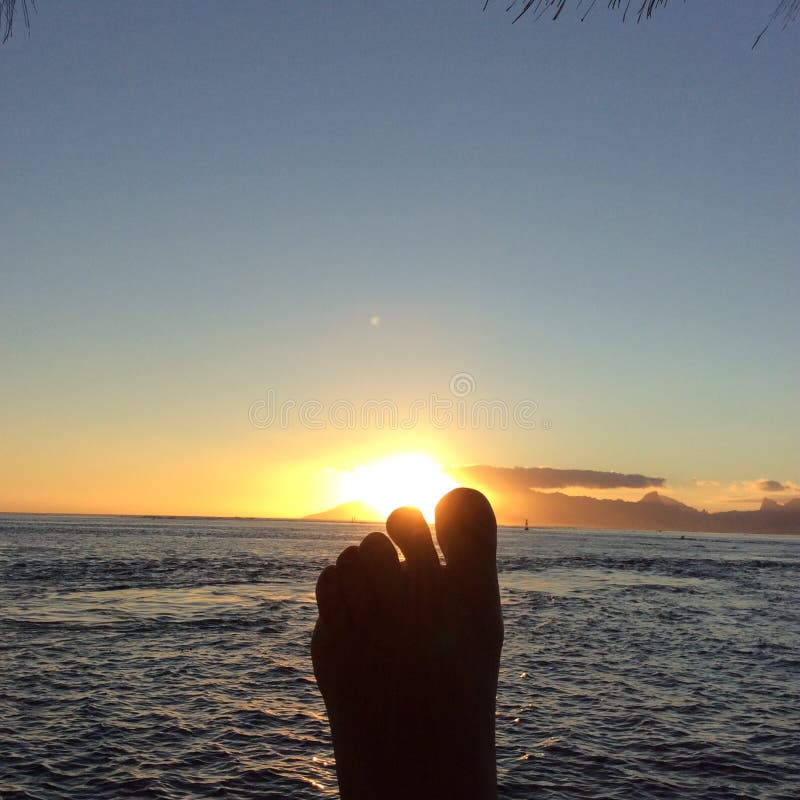 Sunshine and foot stock image. Image of sunshine, foot - 145515331