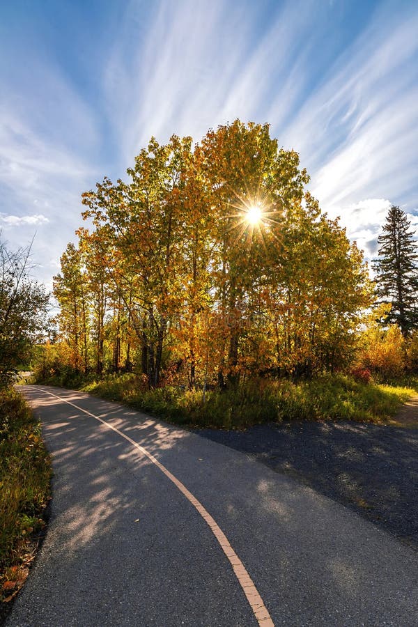 Sunshine Glowing in a Fall Park Stock Photo - Image of glowing, fall ...