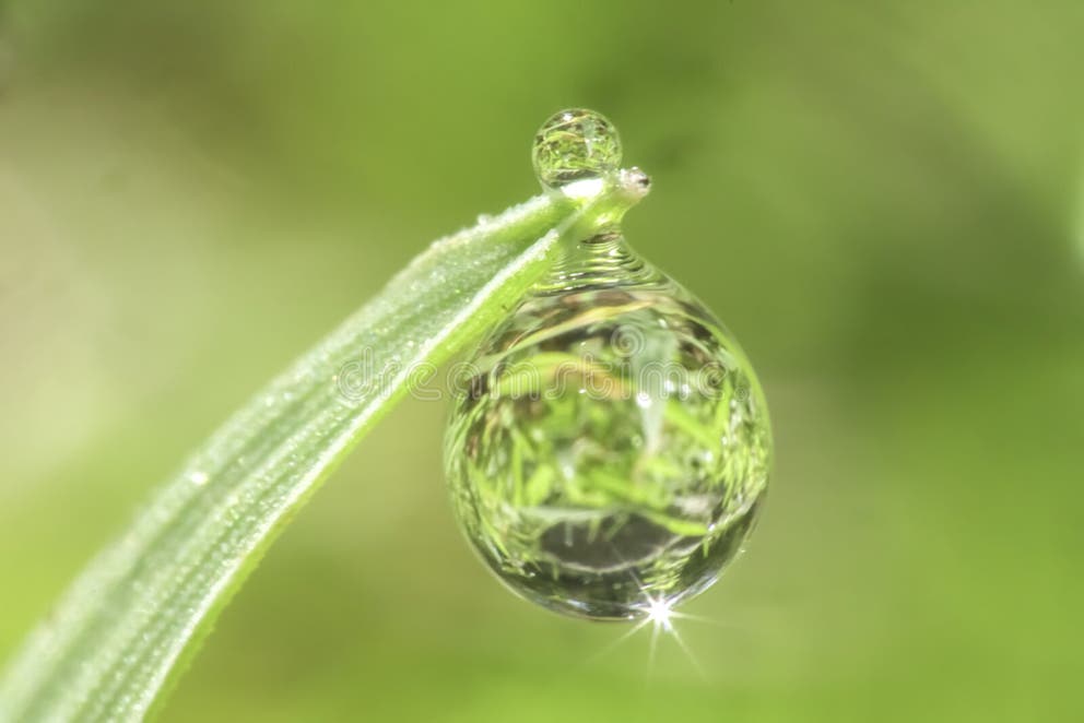 Sunshine Inside a Raindrop stock image. Image of garden - 87149805