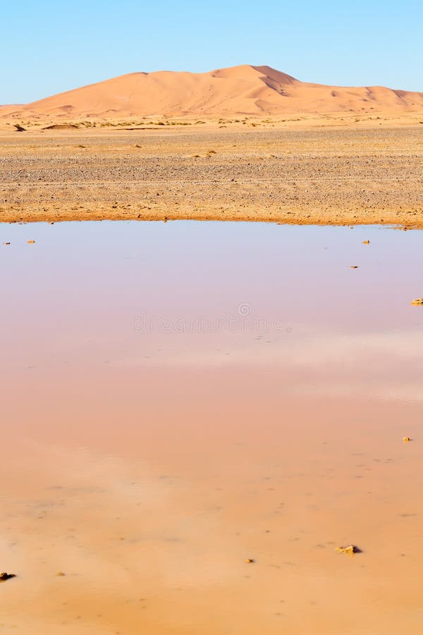 Morocco. Sand Dunes of Sahara Desert Stock Image - Image of color ...