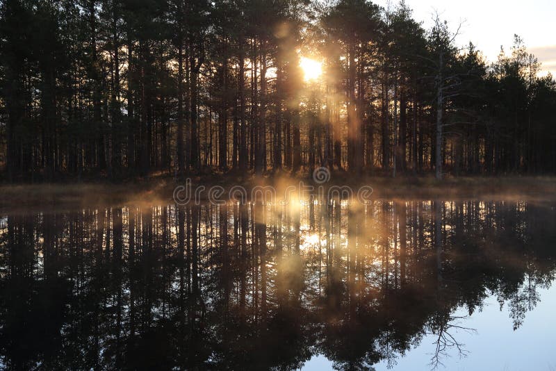 Sunshine in mist stock photo. Image of outdoor, calm - 60939690