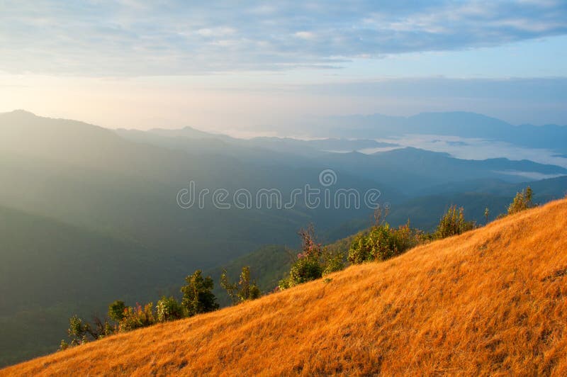 Sunshine on the Morning Mist Stock Photo - Image of female, forest ...