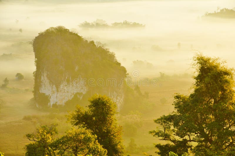 Sunshine on the Morning Mist Stock Image - Image of morning, golden ...