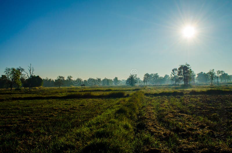 Sunshine stock image. Image of landmark, environment - 47796555