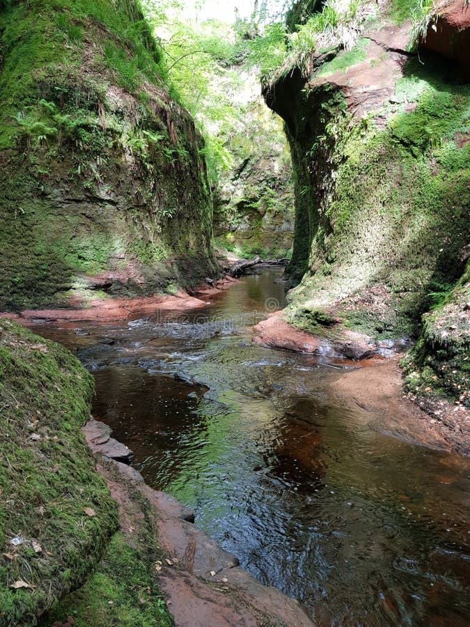 Nature river forest stock image. Image of sunshine, river - 117027525