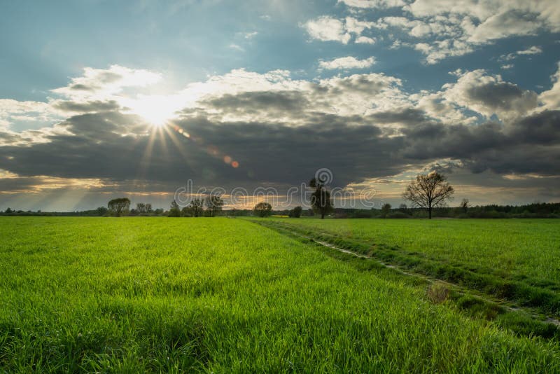 10,437 Sunshine Over Field Photos - Free & Royalty-Free Stock Photos ...
