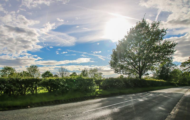 Sun Over the Trees stock image. Image of road, sunny - 112327353