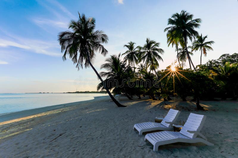 Sunshine through Palm Tree on Beach Stock Image - Image of exotic ...