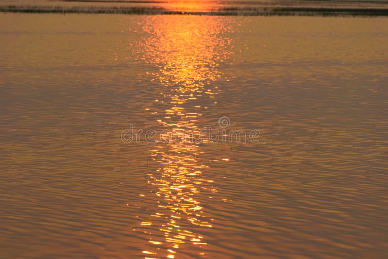 Sunshine Reflection Light in the River Stock Photo - Image of ocean ...