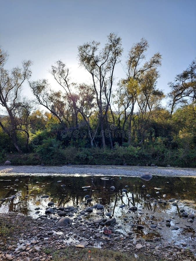 Sunshine river in nature stock photo. Image of nature - 252978072