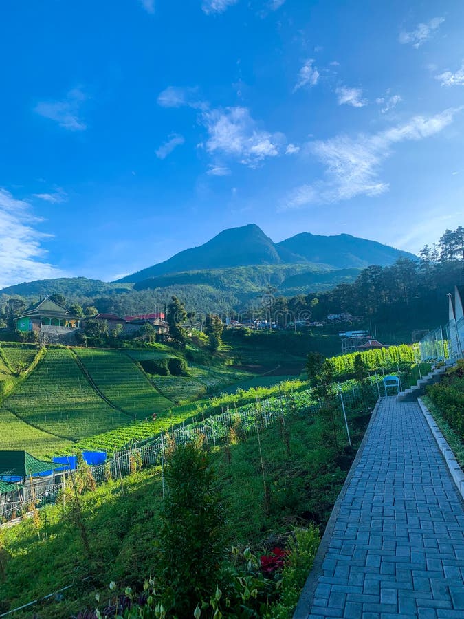 Sunshine stock image. Image of scenery, mountains, fields - 255997017