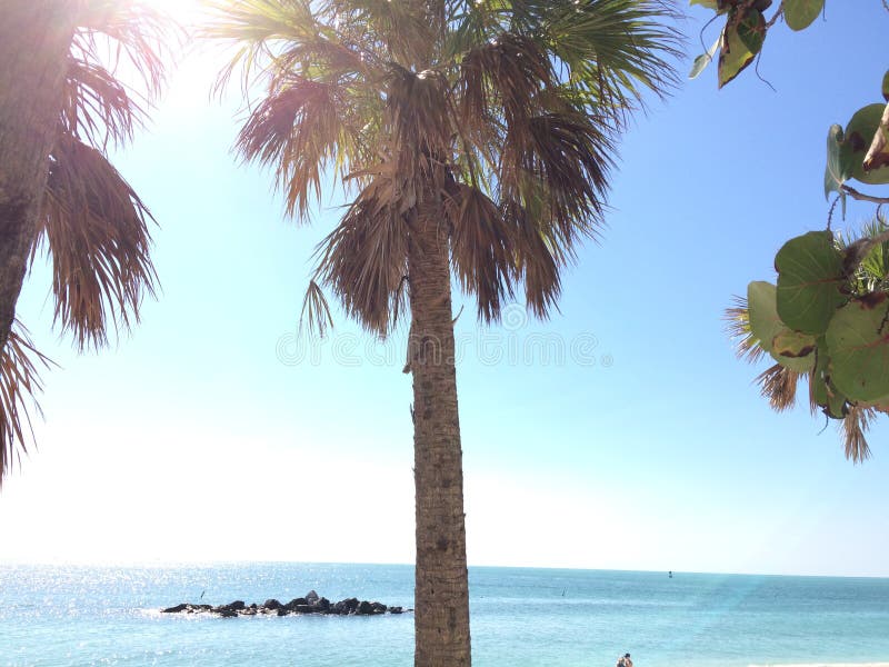 Sunshine and Sea stock photo. Image of trees, sunshine - 151457968