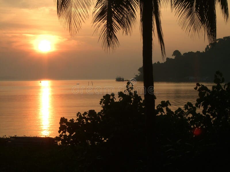 Sunshine stock photo. Image of water, sunshine, tree - 94511984