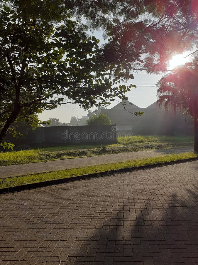 Sunshine Shadow in Street Bogor Stock Image - Image of night, forest ...