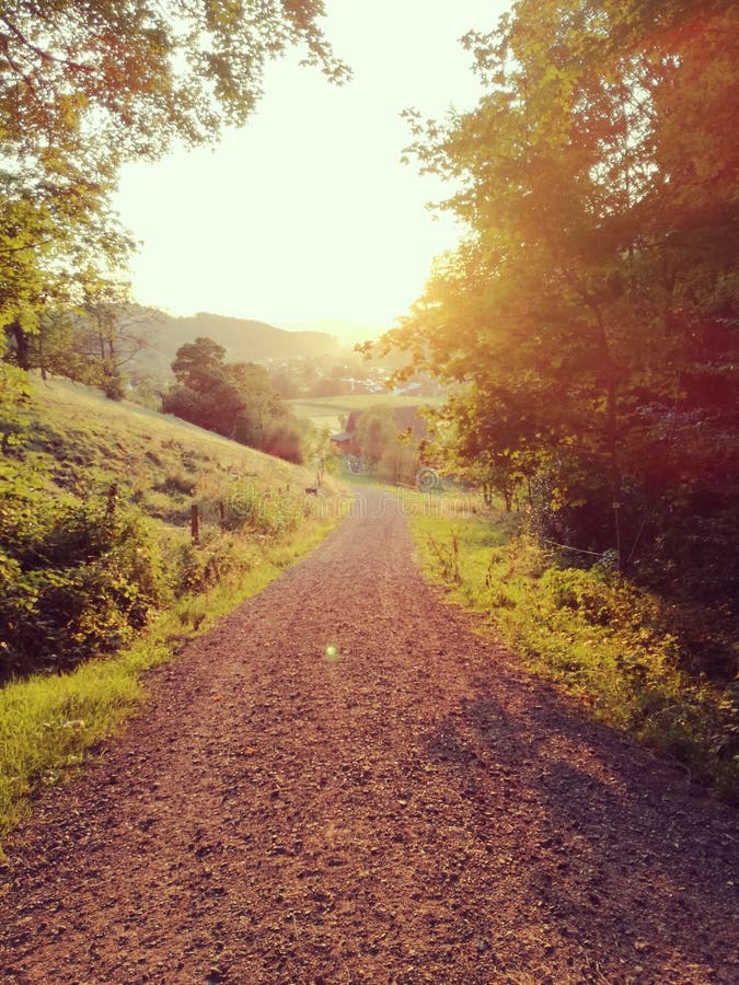 Sunshine stock image. Image of sunshine, trees, evening - 78106729
