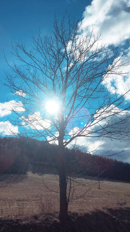 Sunshine stock image. Image of february, sunny, winter - 109293023