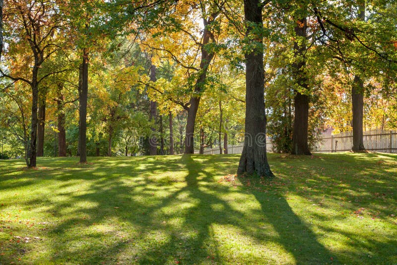 Sunshine through Trees in City Park Stock Image - Image of season, city ...