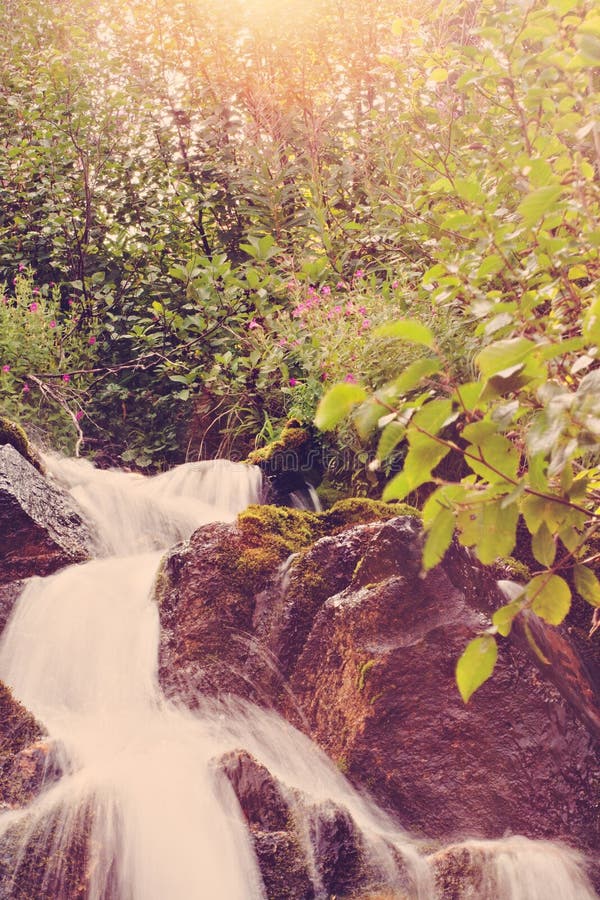 Sunshine and Waterfall stock photo. Image of stone, water - 125860836