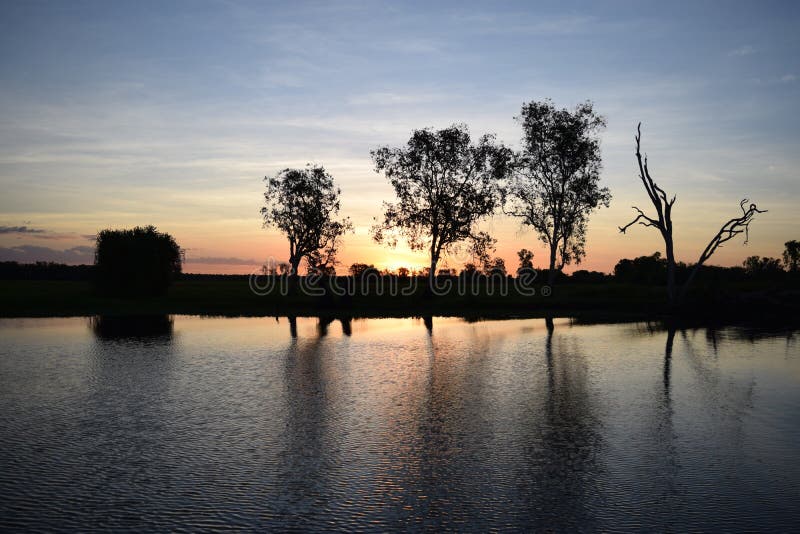 Sunswet Swamp Australia stock photo. Image of sunrise - 95218778