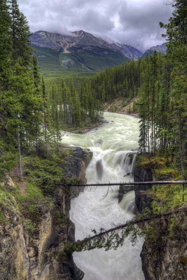 Sunwapta Falls stock image. Image of jasper, icefield - 20705453