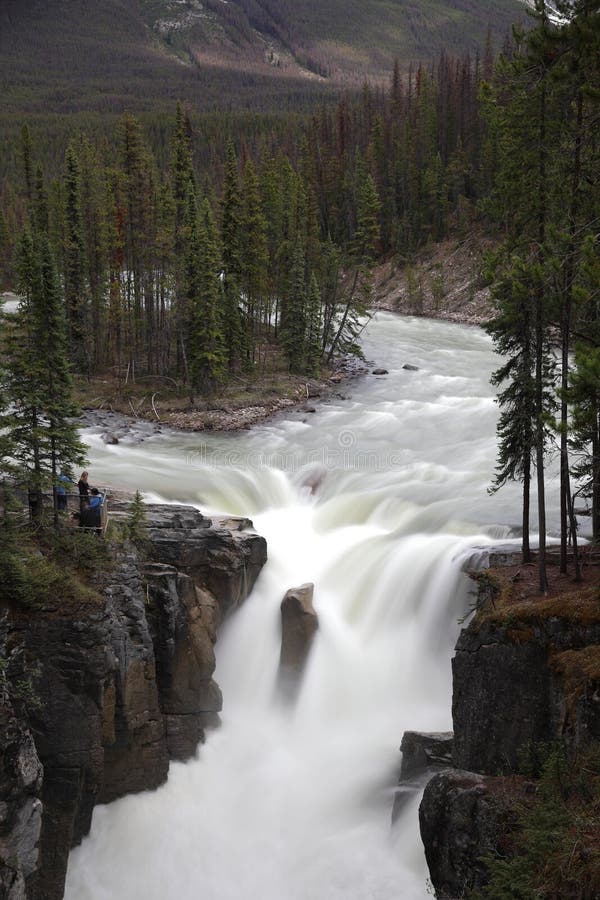 Sunwapta Falls - Alberta, Canada Stock Photo - Image of scenic, trees ...