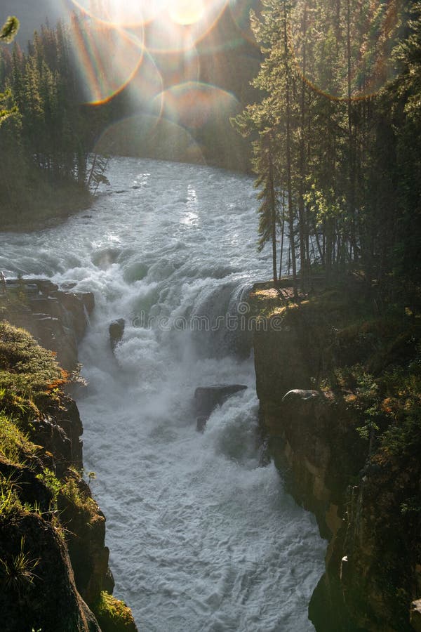 Sunwapta Falls Island Jasper National Park Canada Stock Image - Image ...