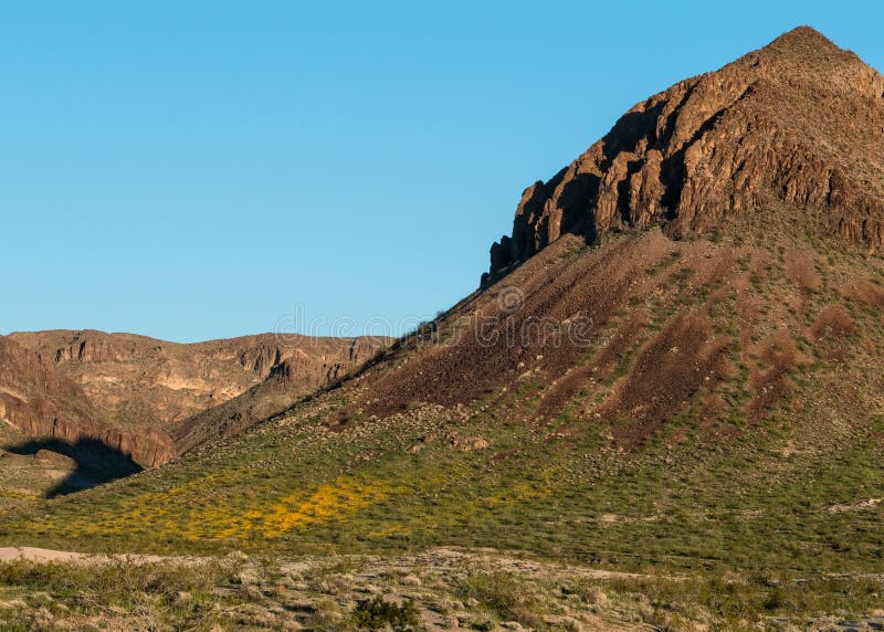 Super Bloom, Black Mountains Stock Image - Image of colorful, green ...