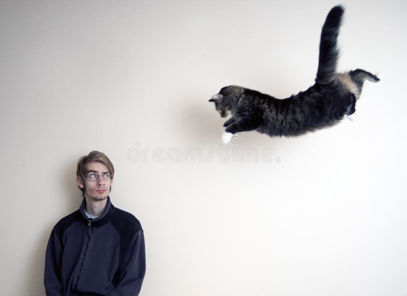 Super Cat stock image. Image of copyspace, throwing, throw - 17163321