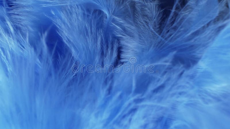 Super Close-up, Details. Blue Fluff in a Neckpiece Stock Photo - Image ...