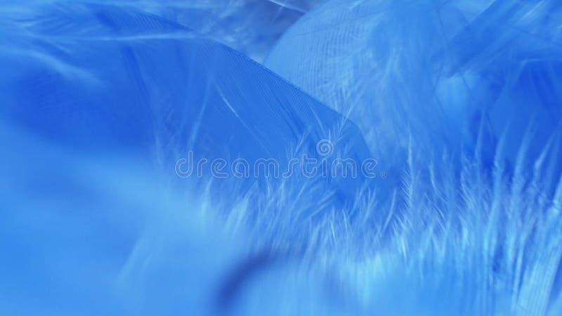 Super Close-up, Details. Blue Fluff in a Neckpiece Stock Image - Image ...