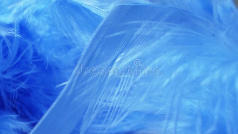 Super Close-up, Details. Blue Fluff in a Neckpiece Stock Photo - Image ...