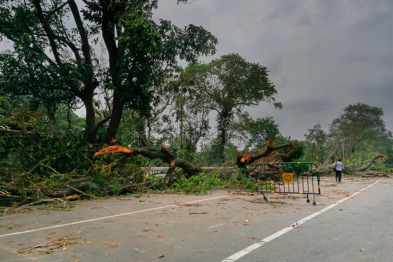 Super Cyclone Amphan Caused Devastation, West Bengal, India Stock Photo ...